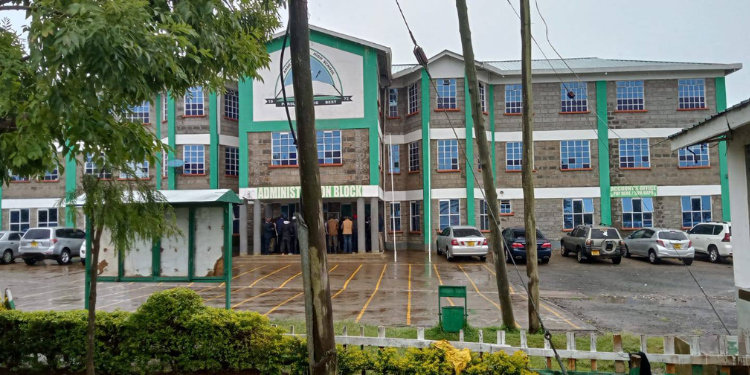 Arnesen's high school fees, KCSE performance and contacts