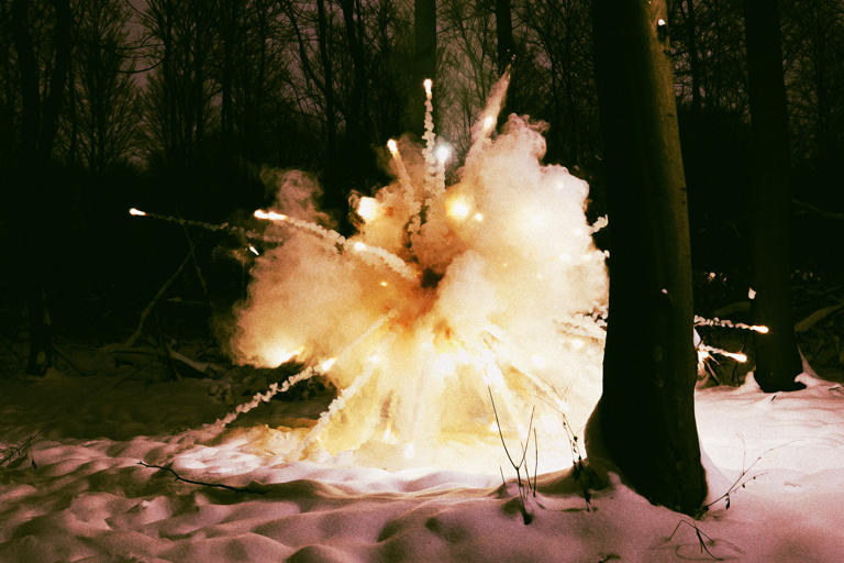 Meteorologist warns that winter storm means trees are about to start ...