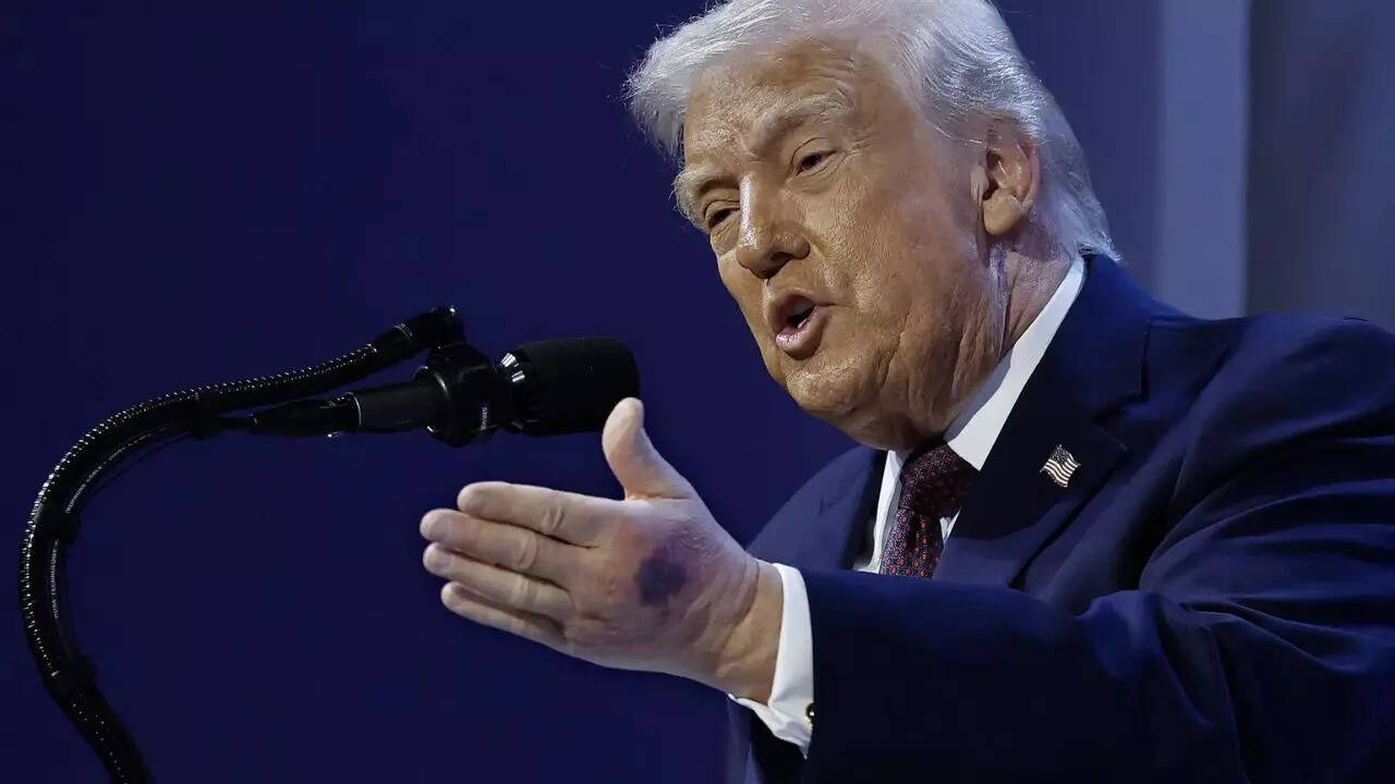 'Cosmic poetic justice': Donald Trump's estranged niece says uncle was ...