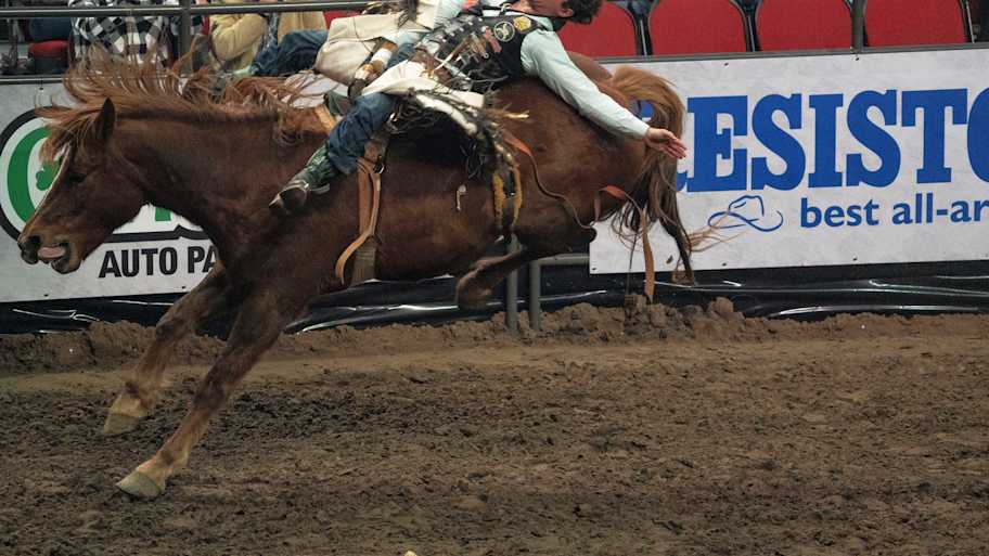 PRCA Rookie Daxtyn Feild Makes Early Season Statement at National ...
