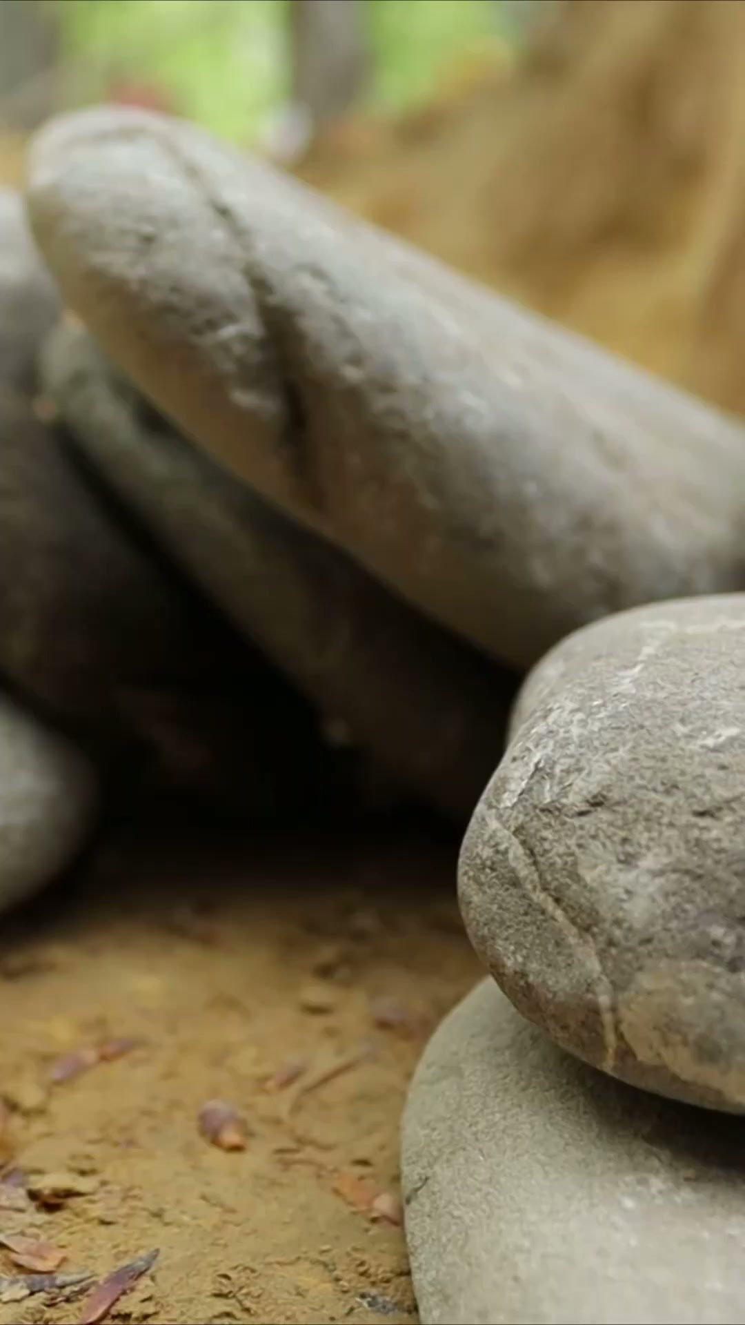 Dugout in the forest #camping #bushcraft #survival #building part - 3