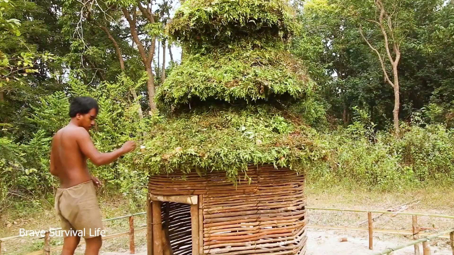 How did he build this amazing jungle house?