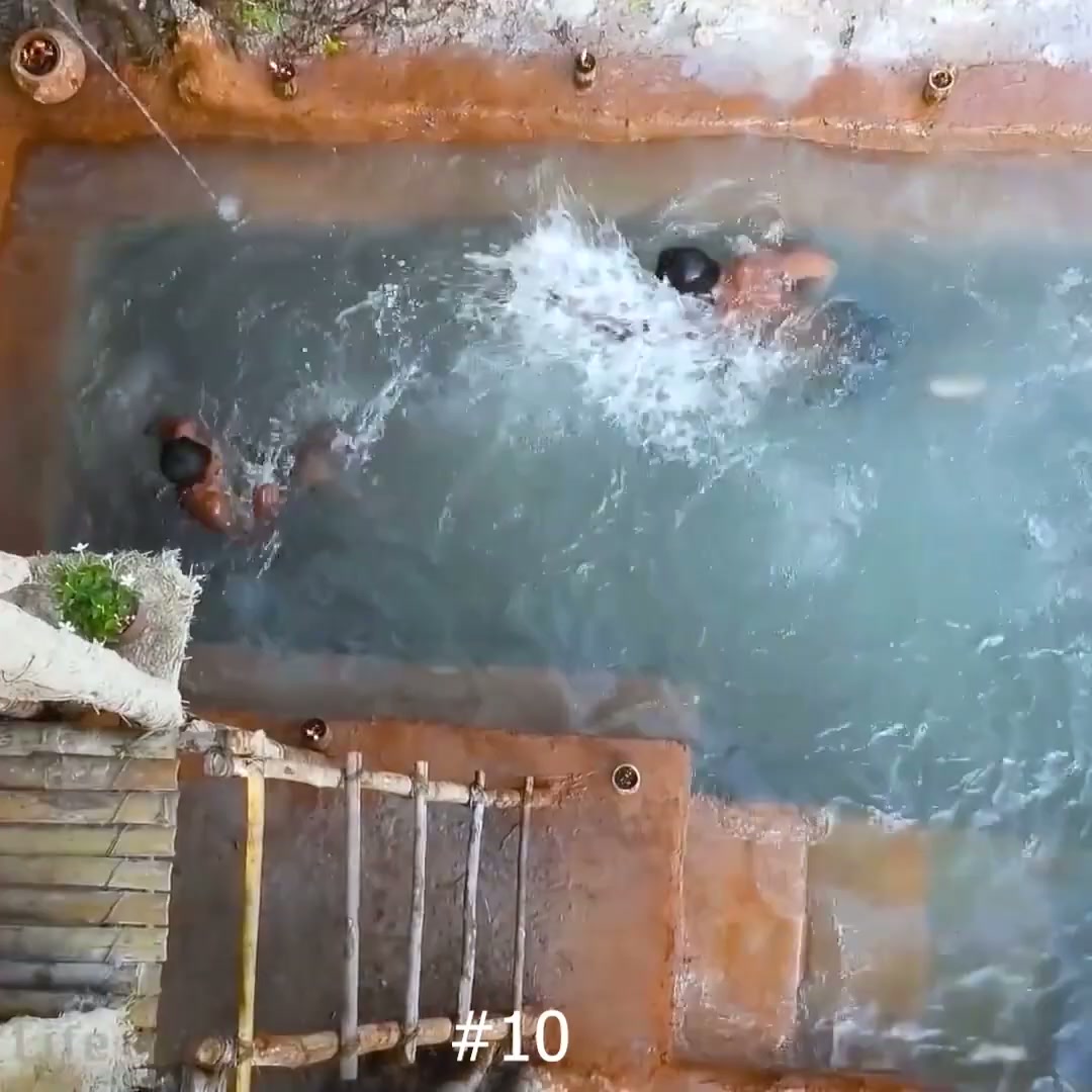 How we built a jungle pool from scratch!