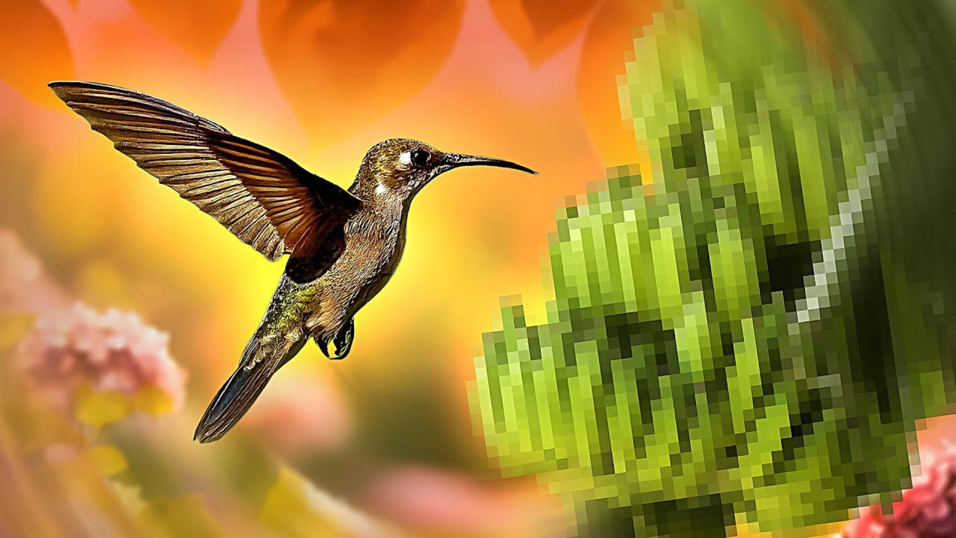 The fruitful secret to attracting more hummingbirds