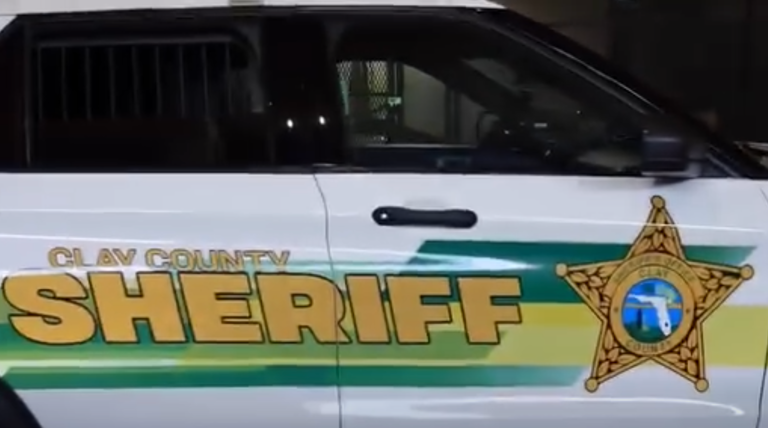 Deputies hospitalized after dogs attack during disturbance call