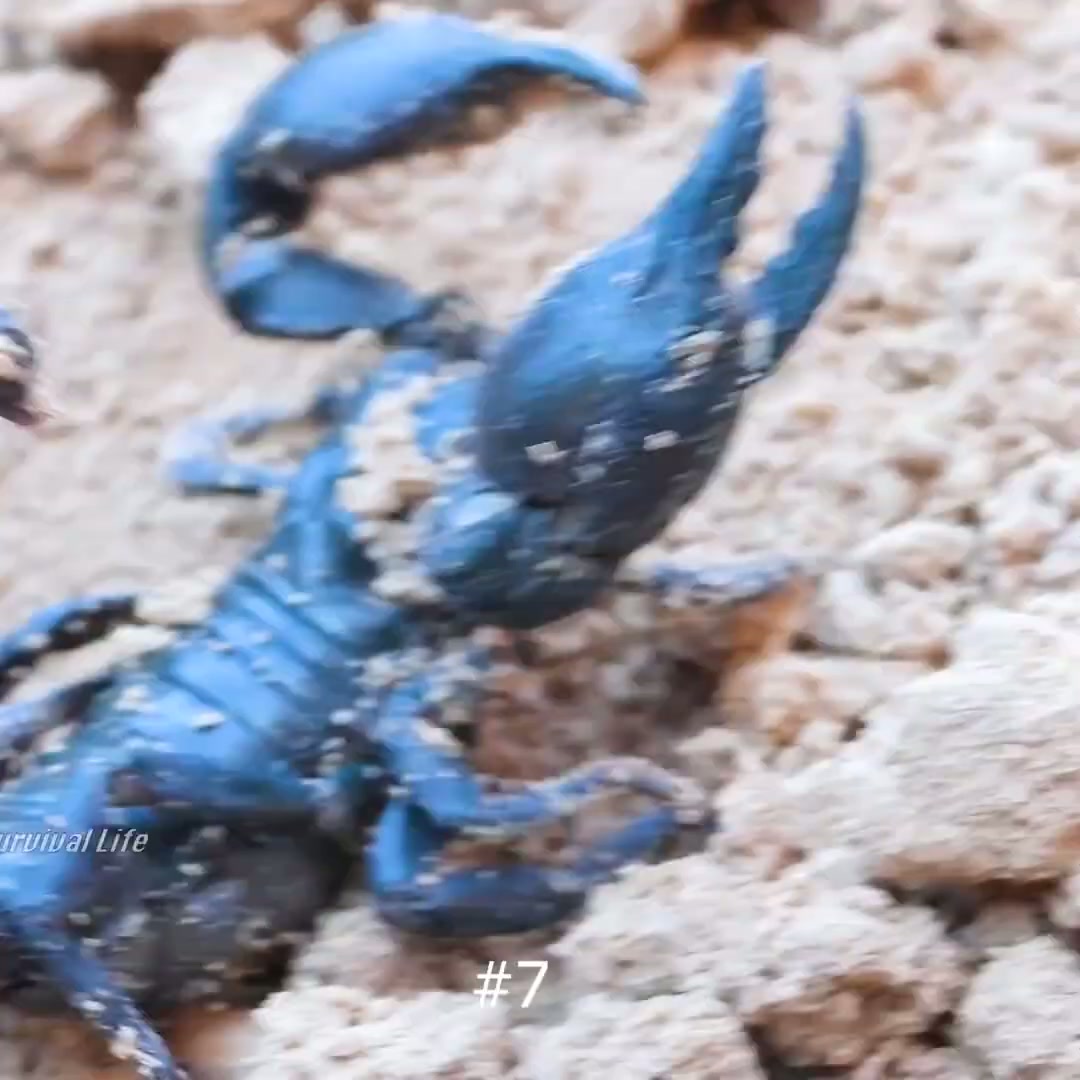 You won't believe this underground house!