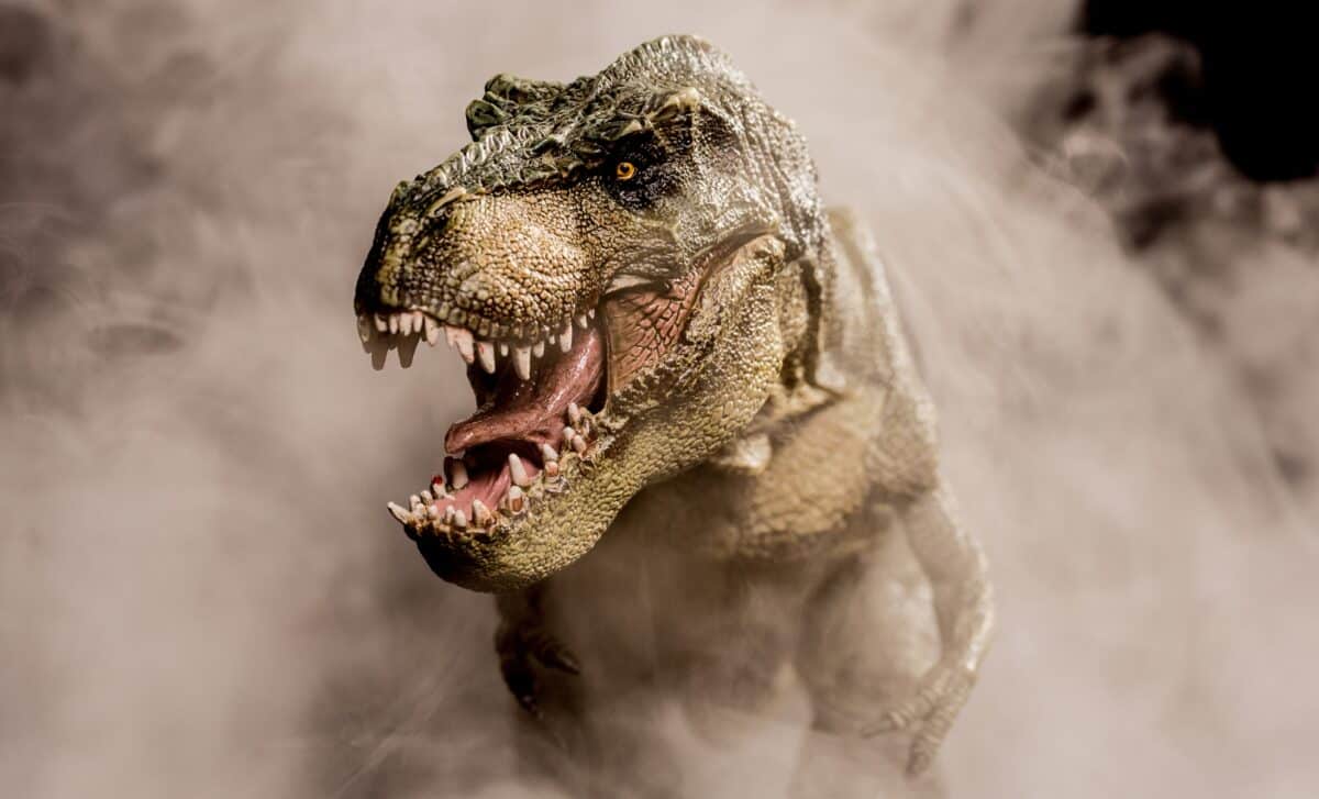 Paleontologists found a clue hidden in T rex bones for 66 million years ...