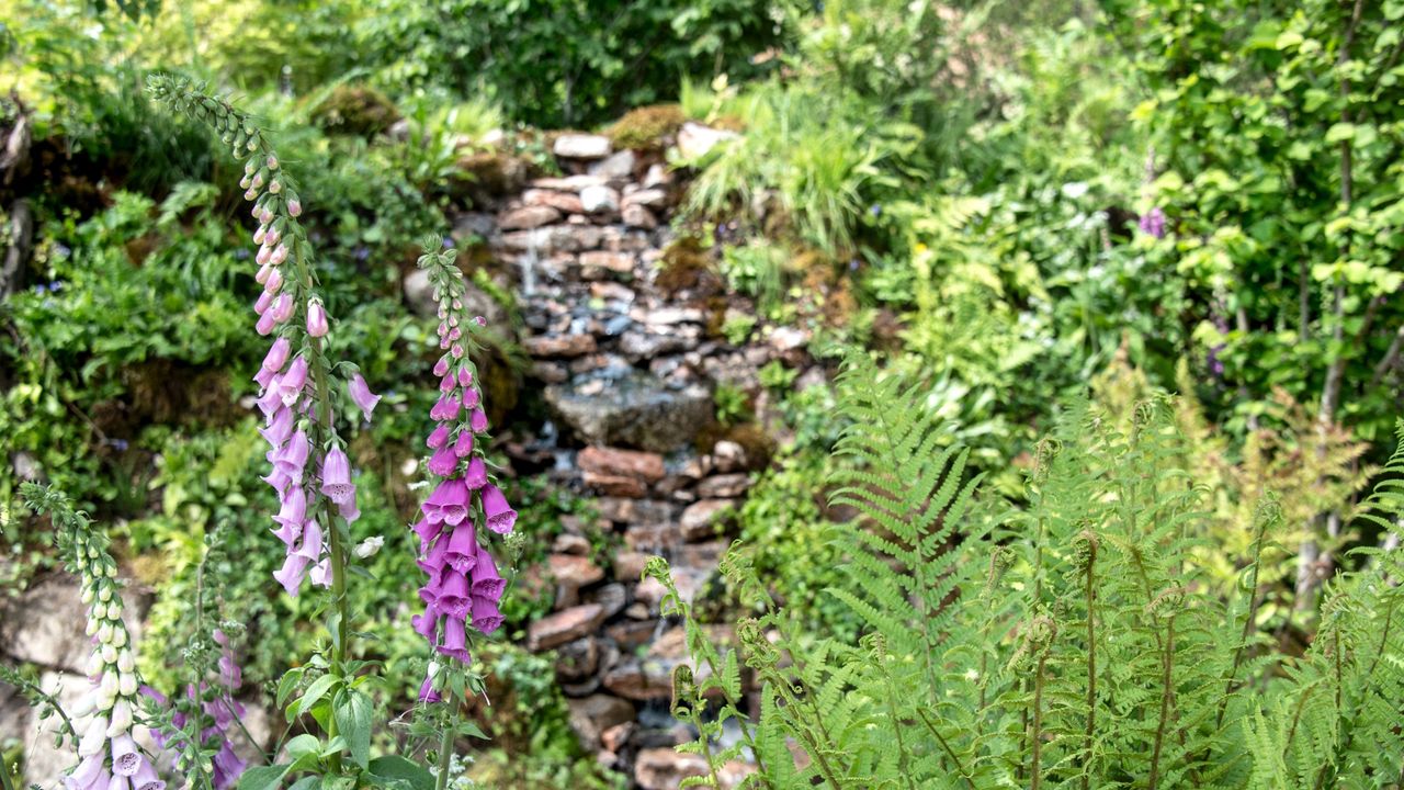 17 wildlife garden ideas that cater to birds, insects, amphibians and ...