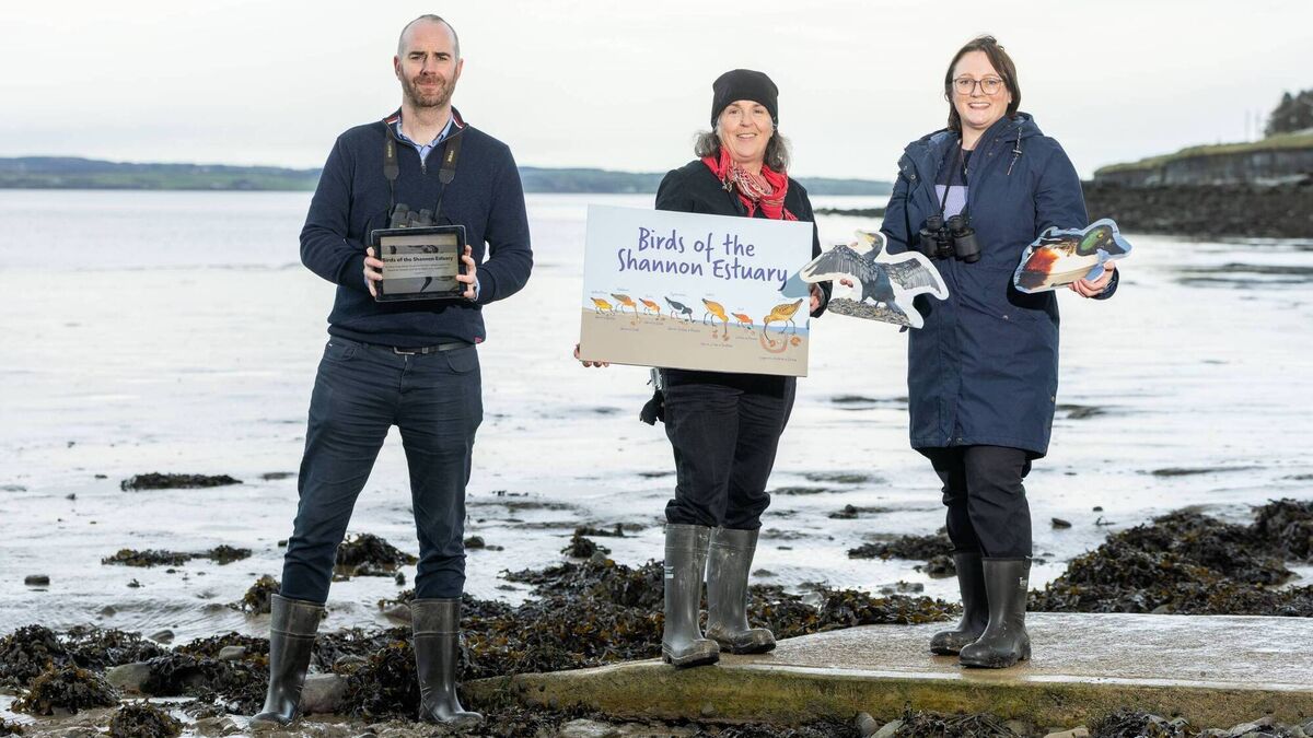 Interactive map showcases Shannon Estuary's wildlife and how to best ...