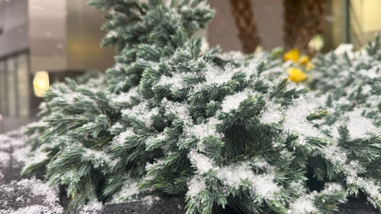 Winter storm threatens DMV travel plans with snow and ice expected