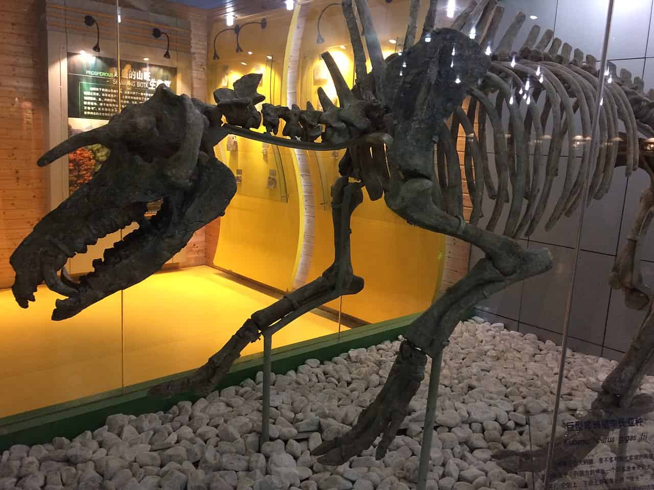 These ancient pigs looked more like unicorns than hogs