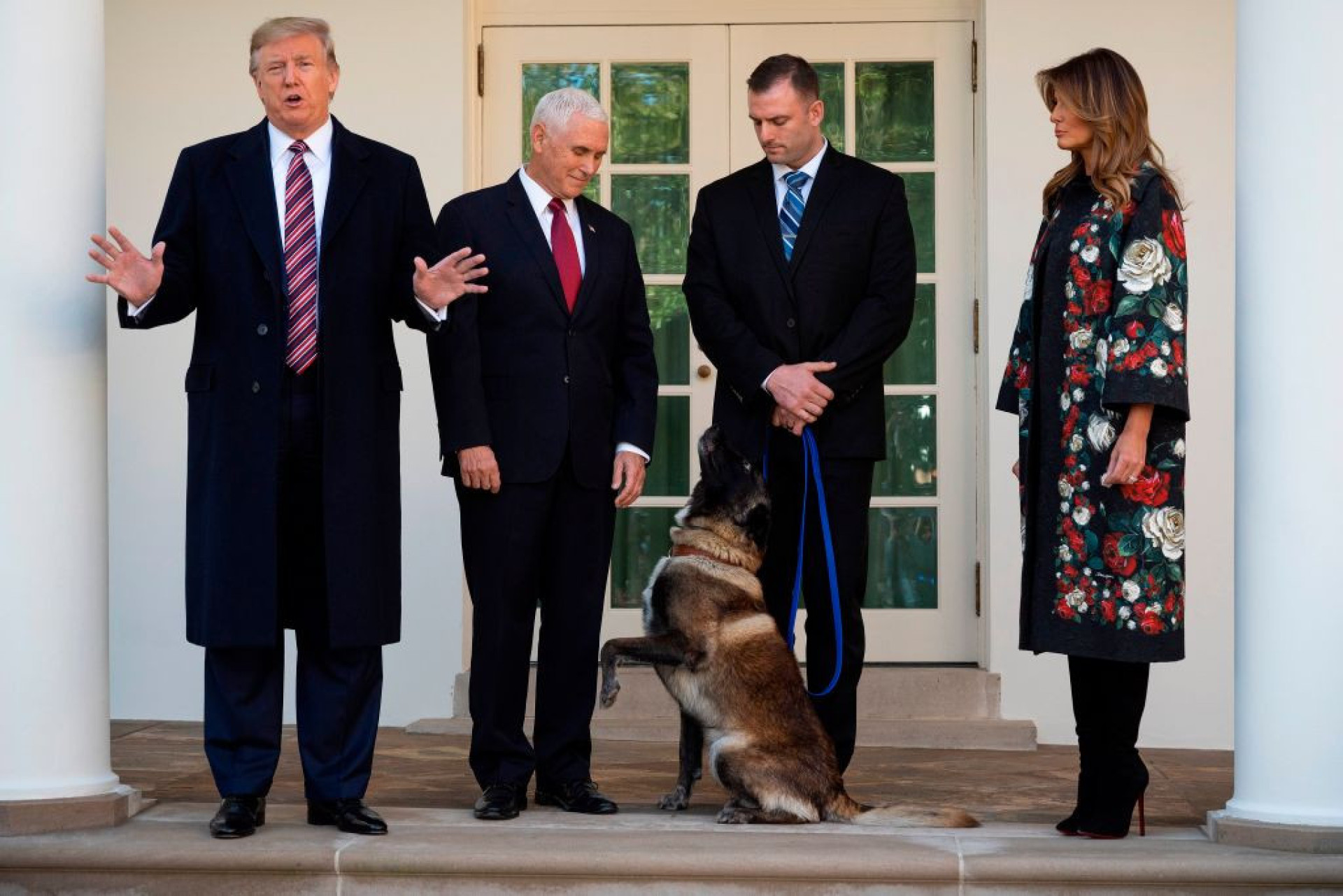 Meet the pawsidents: presidential pets and tales