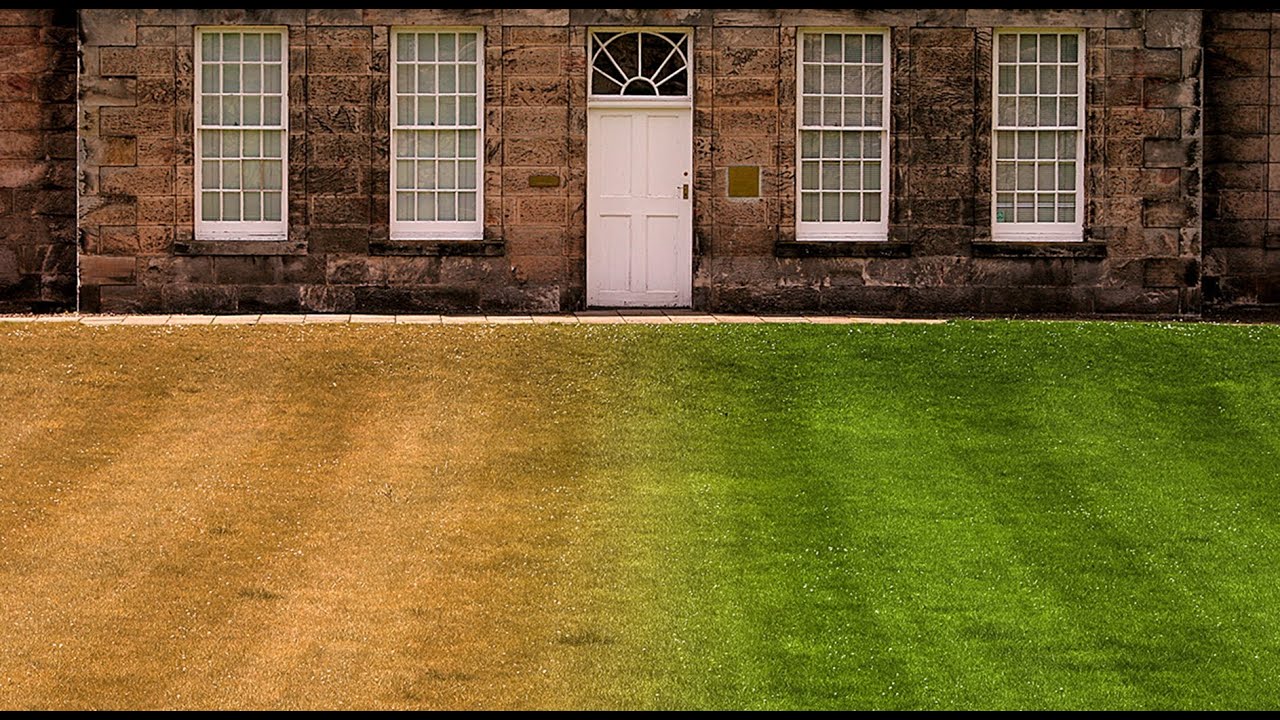 Photoshop quick tip tutorial: How to make burnt-out, brown grass into a ...