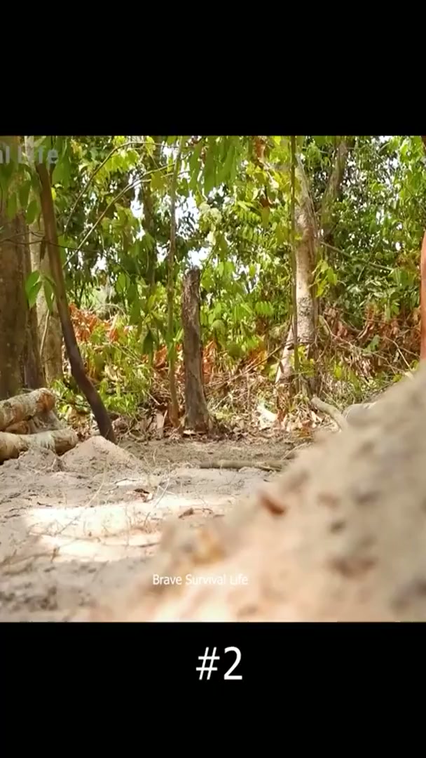 Discover the captivating process of building a unique treehouse while ...