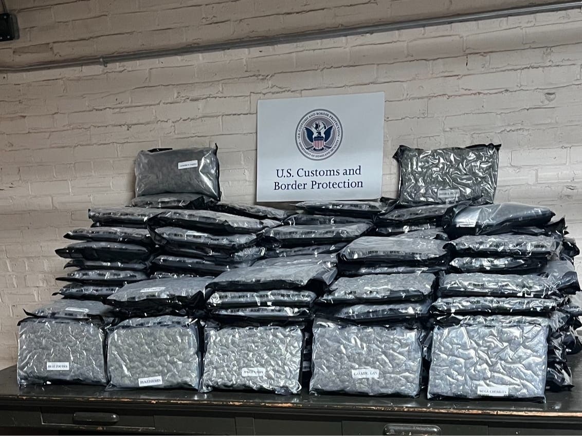 500 pounds of marijuana confiscated at Philly port: Feds