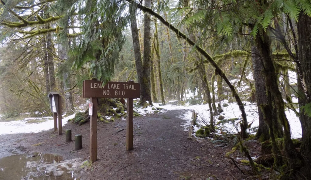 Two hikers killed by falling tree in Washington state