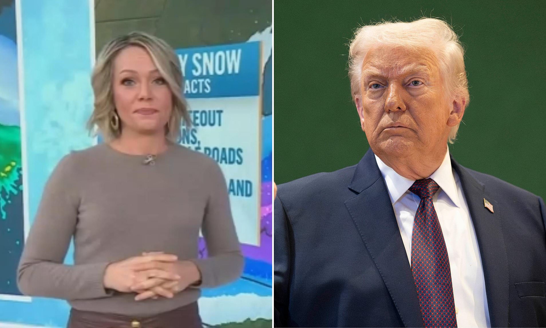 MAGA supporters slam Today Show after Dylan Dreyer makes on-air slip-up ...