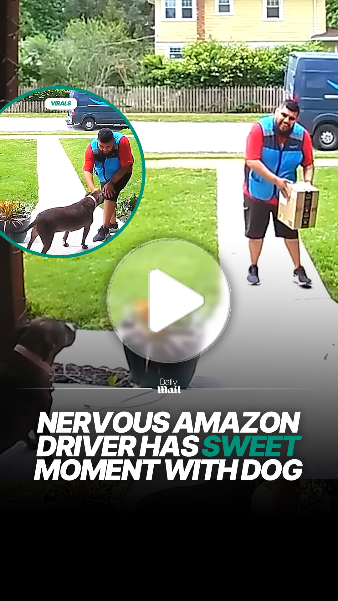 Nervous Amazon driver overcomes fear to greet friendly dog