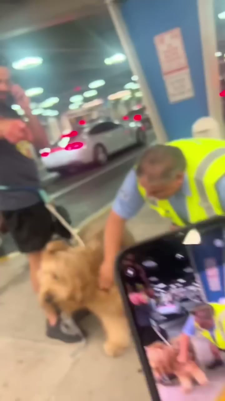 Traveling through the airport with a famous dog! #petfluencer # ...