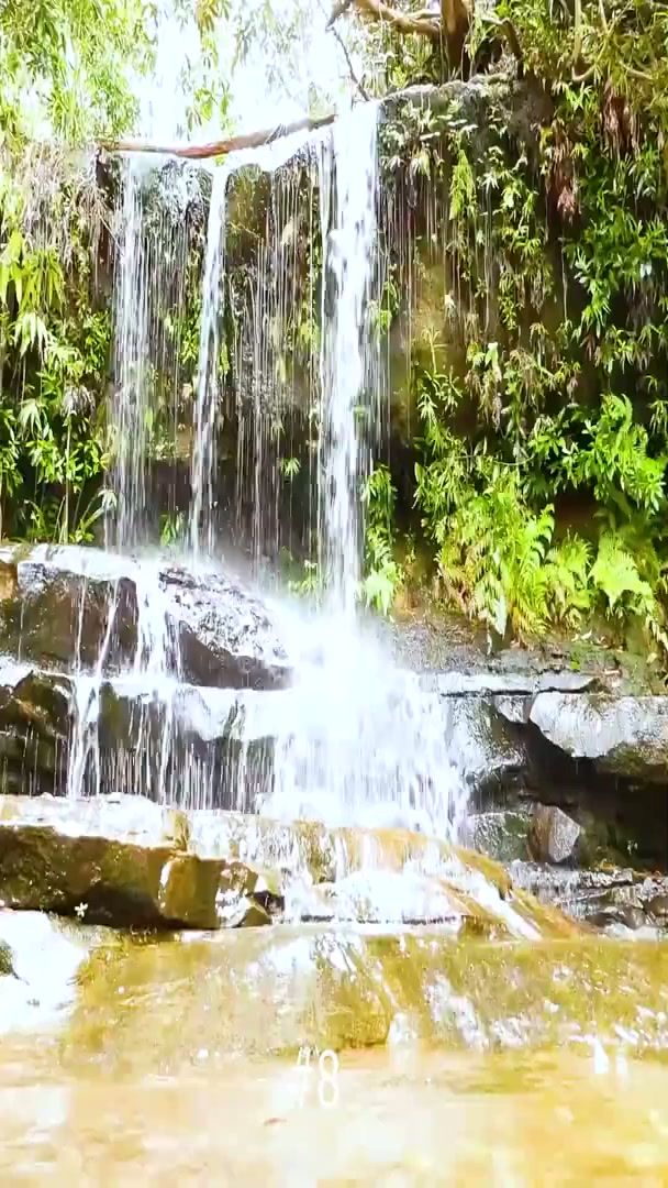 We constructed a secret jungle water slide and transformed a mud hut ...