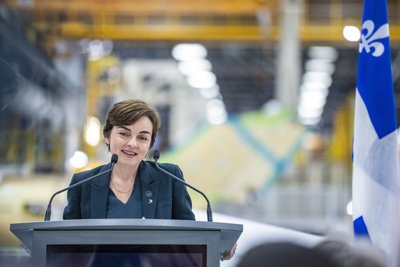 A look at some potential candidates for the Coalition Avenir Québec ...