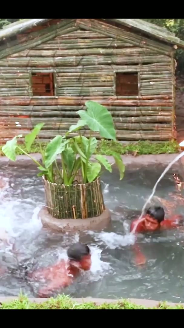 Transform your backyard with a stunning bamboo house and secret ...