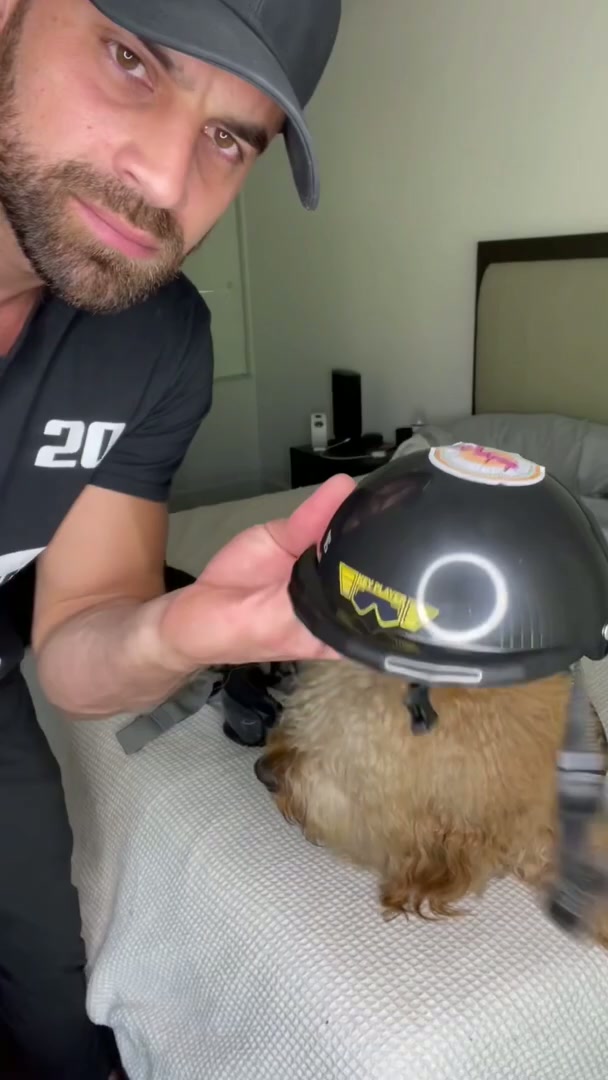 How I fit my dog in my backpack! #shorts