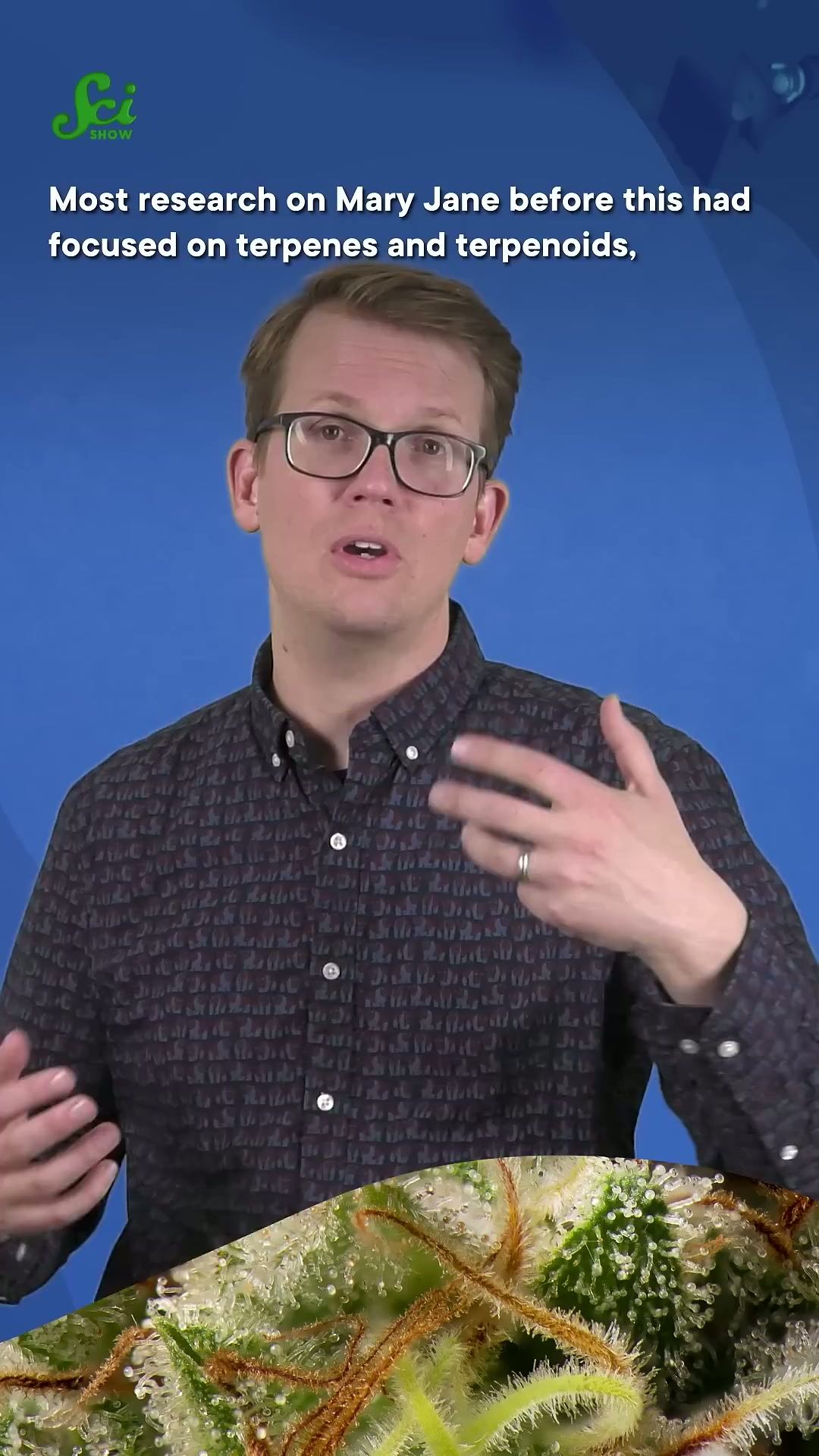 Why does cannabis smell so skunky? #shorts #science #SciShow