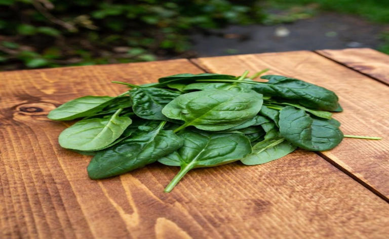 Feeling tired all the time? These magnesium-rich foods could be the ...