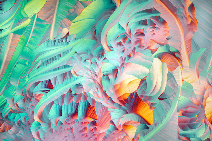 20 winning shots from Nikon Small World photo competition