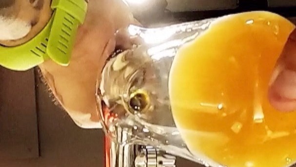 Why a 'hop zone' could be key to protecting the future of beer