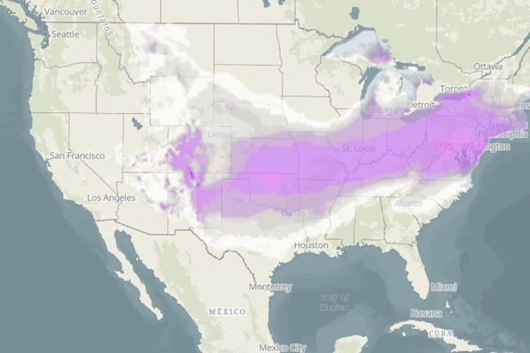 Huge lines at stores across the country as panicked shoppers stock up ...