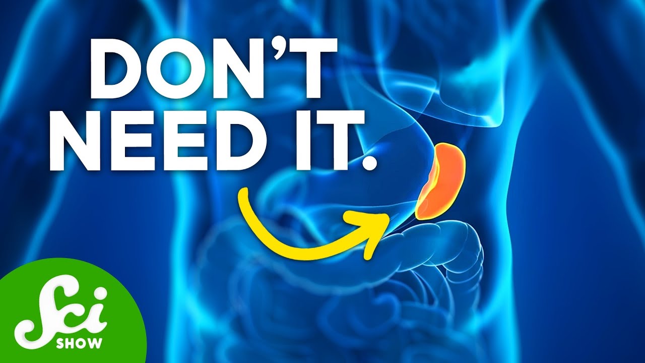 7 organs you don't actually need