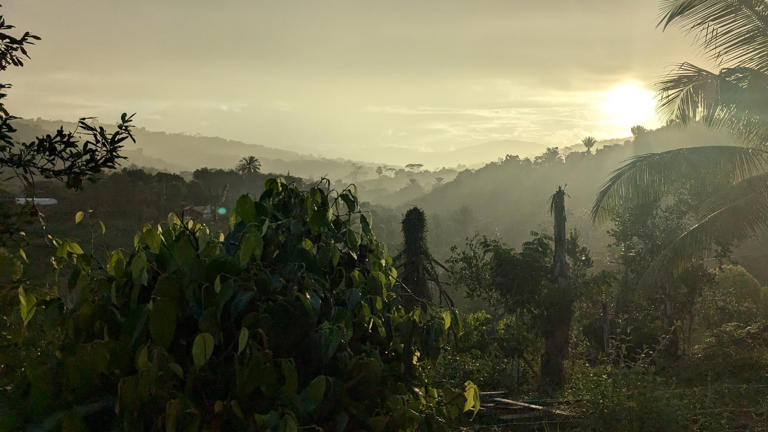 I went 7 days without electric light. Here's what I learned in the dark.