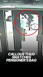 Moment bag-snatcher sends pensioner crashing to the ground
