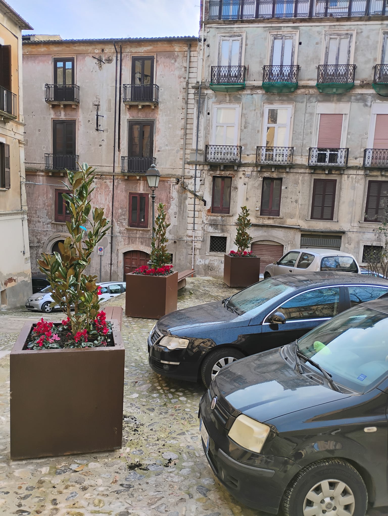 Cosenza, sistemate tutte le fioriere del centro storico