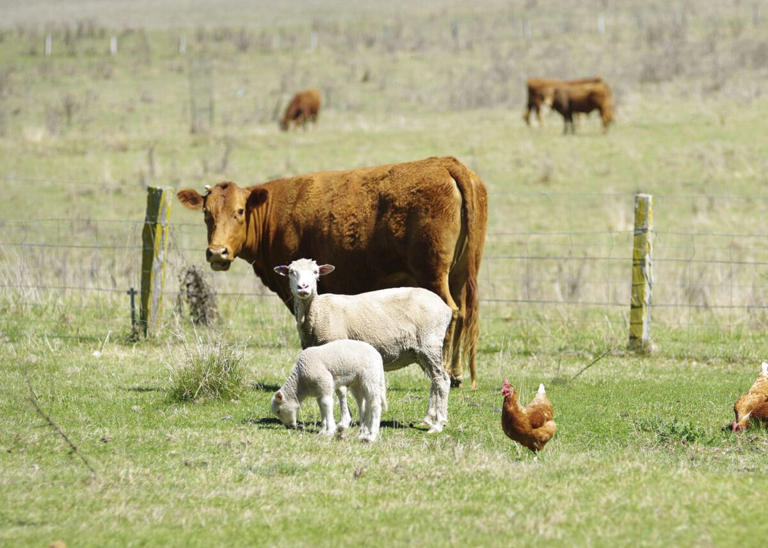 Math puzzle for January 23, 2026