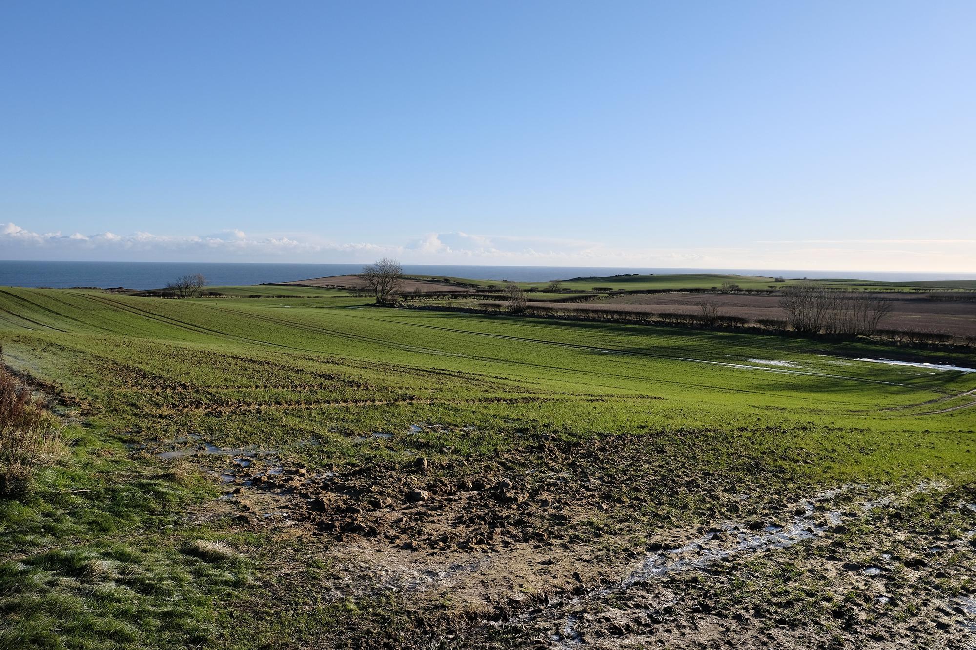 Council update on calls to delay decision on Burniston gas rig application