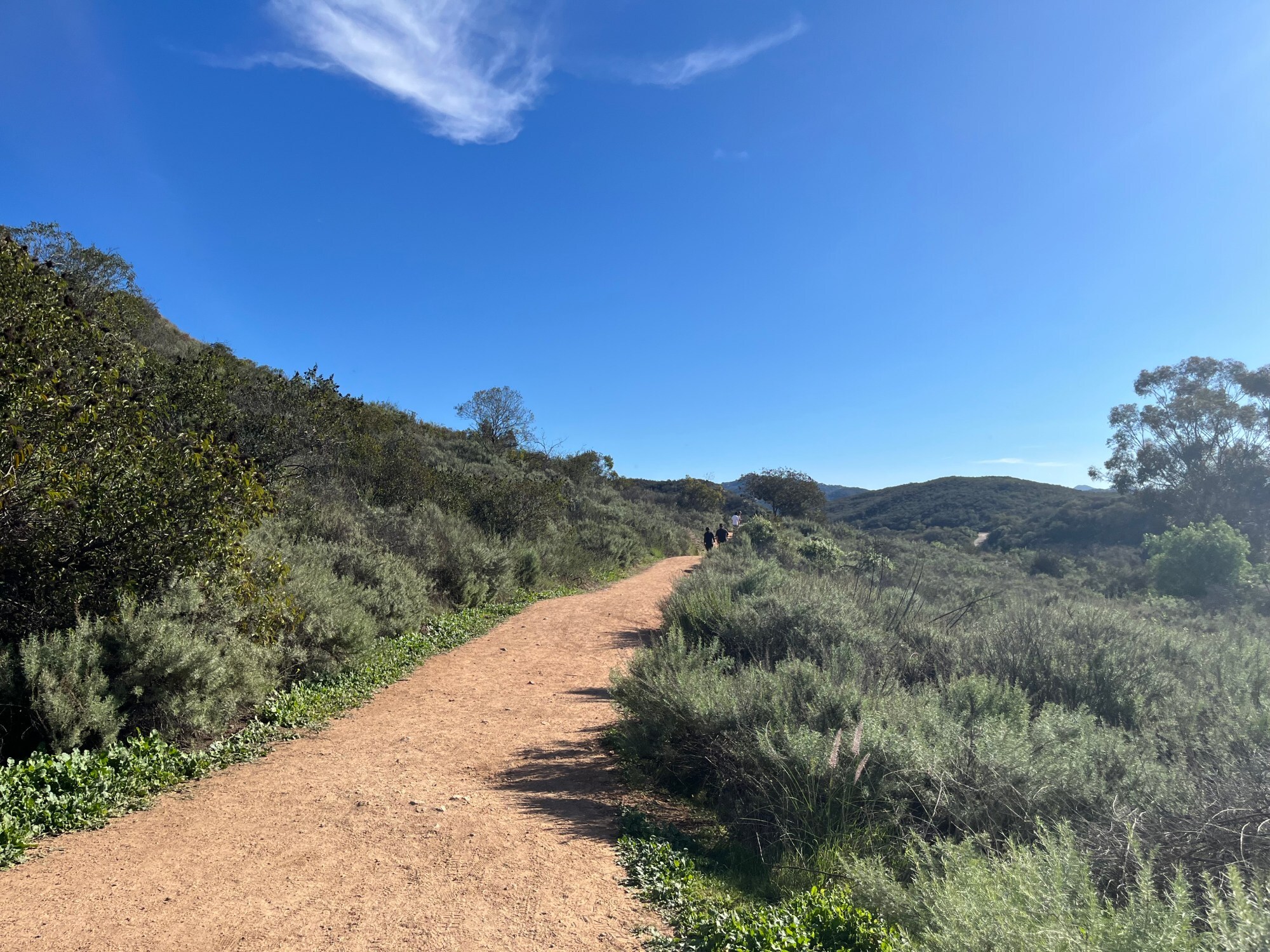 Trail report: A hike under the sun at Daley Ranch