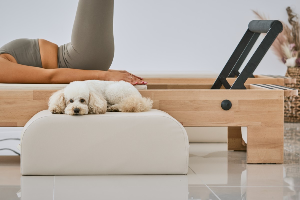 Delighted veterinarian in puppy pilates class is all of us