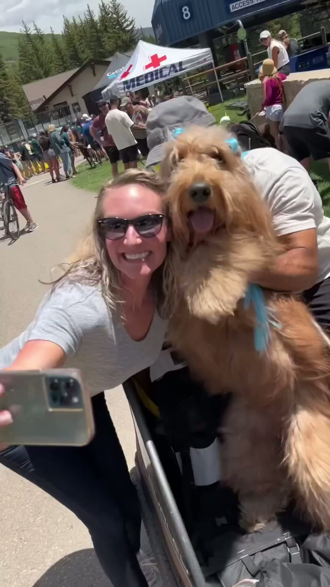 Is this the world’s most famous dog? #goldendoodle #reaction #spreadsmile