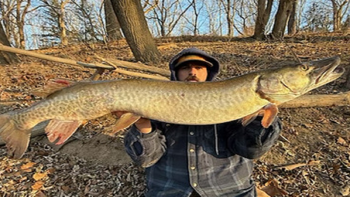 Potomac trophy muskie caught after decade