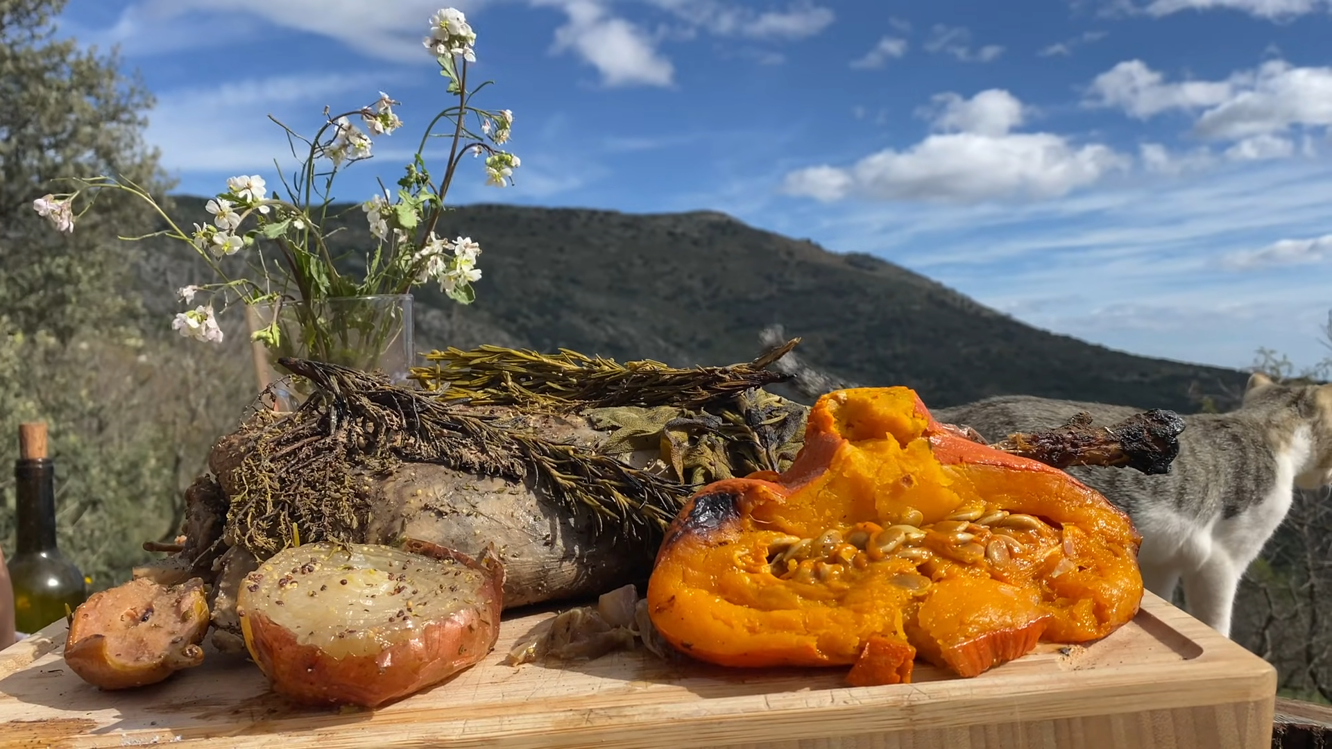 Experiencing the speed of the world’s fastest bird