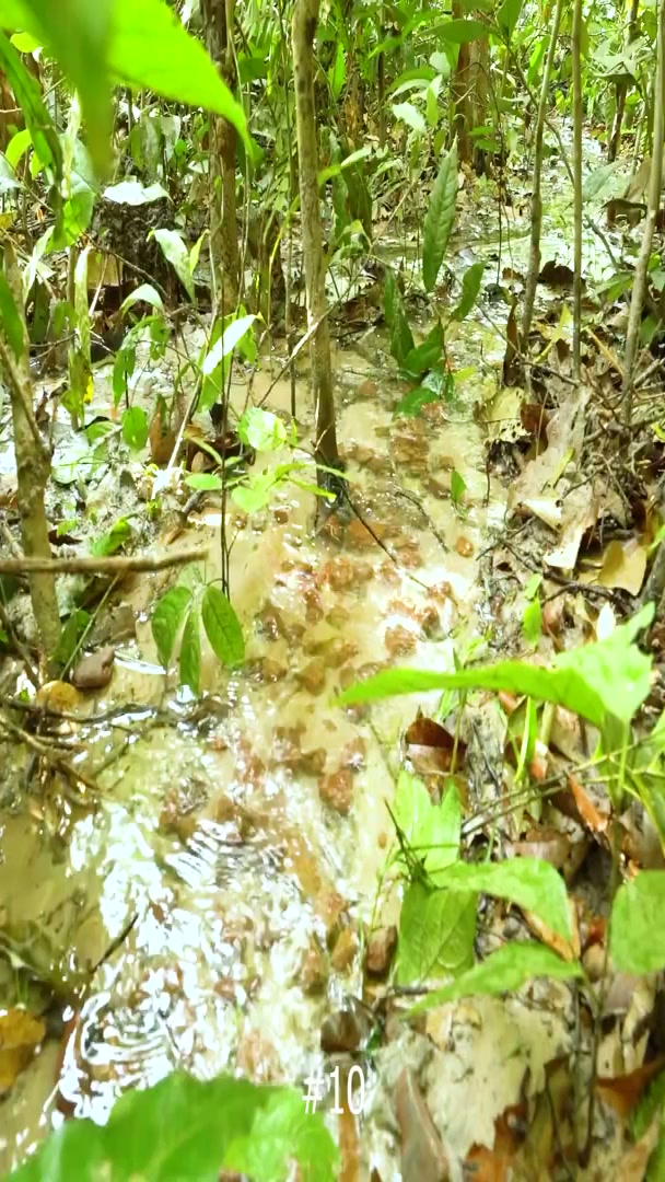 DIY: Build a jungle water slide & underground pool from scratch!