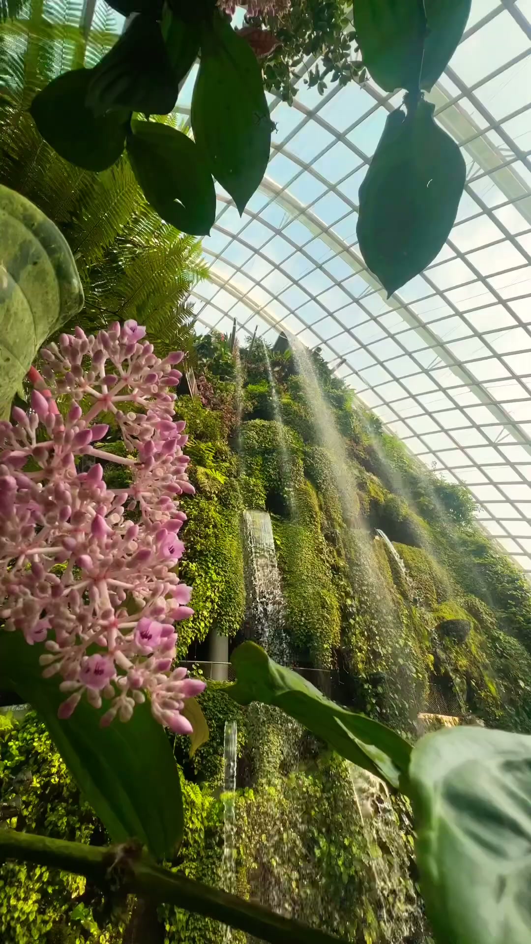 Inside the stunning cloud forest at Gardens by the Bay Singapore #shorts