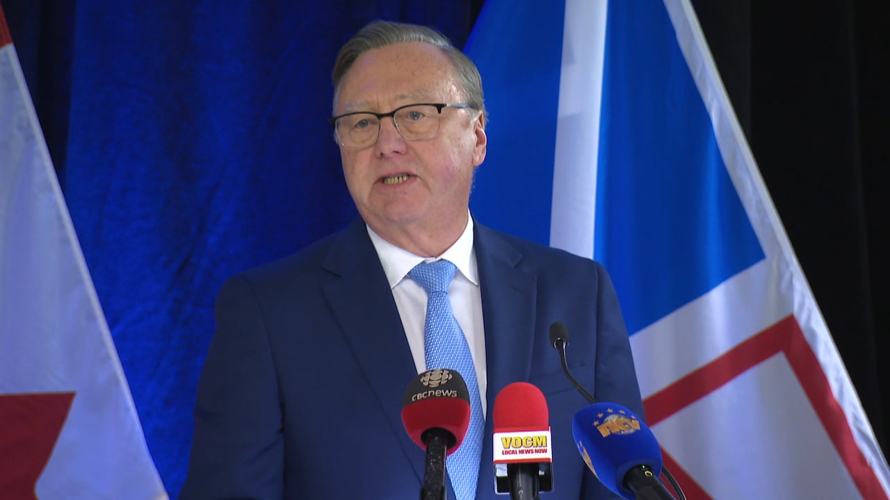 Trump's Greenland saga highlights need for more defence spending in NL ...