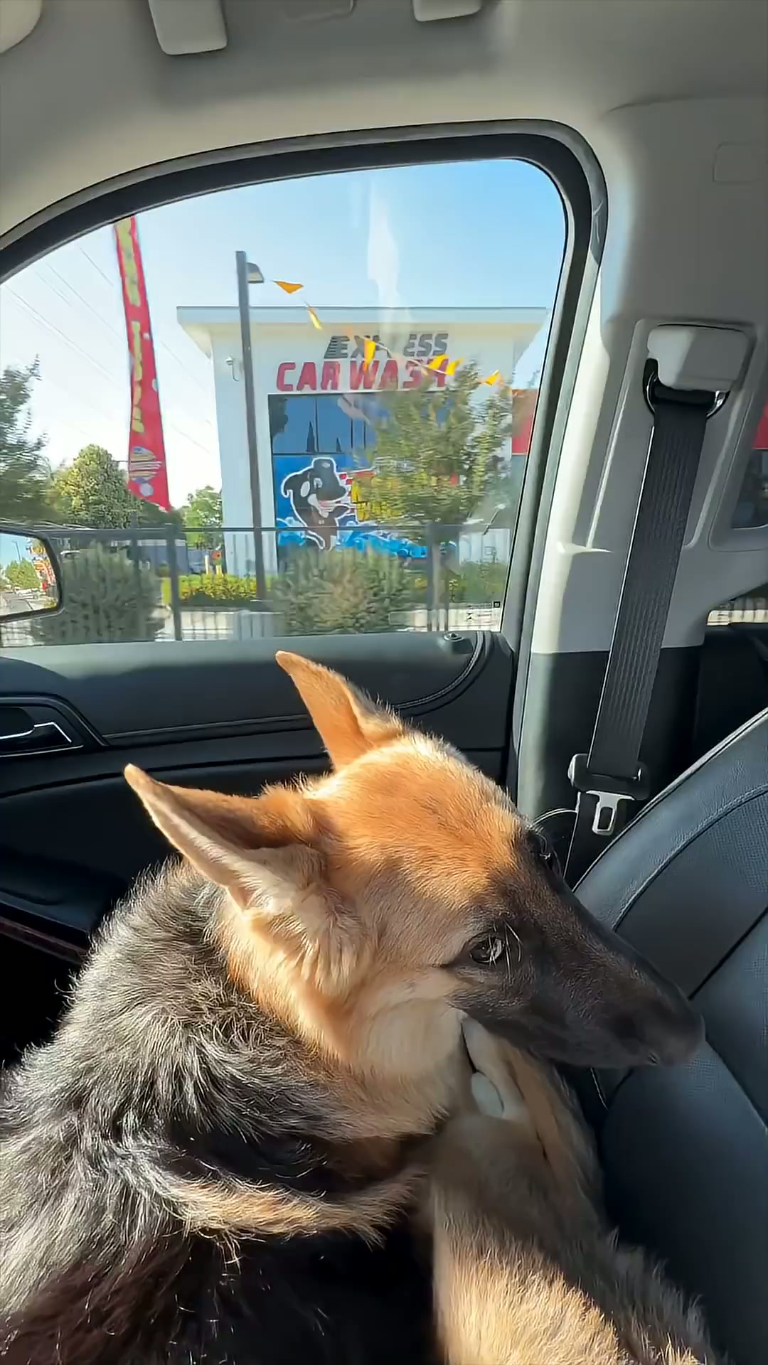 Trust issues unlocked...