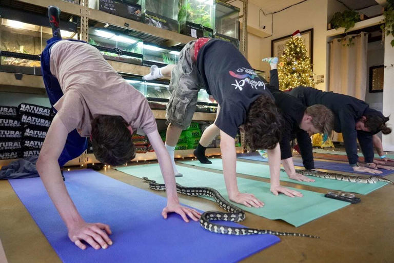 Snake yoga is officially a thing in Portland, and it’s selling out fast