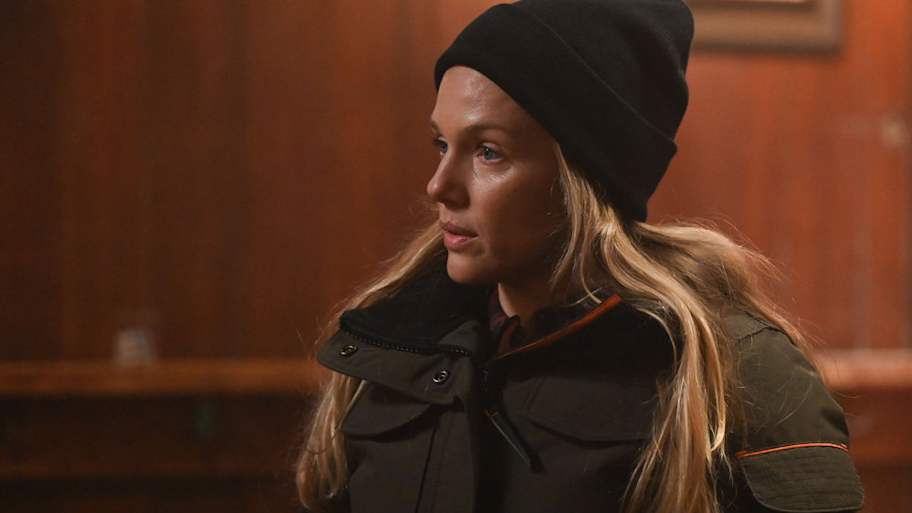 Chicago PD alum Tracy Spiridakos's new show Anna Pigeon gets exciting ...