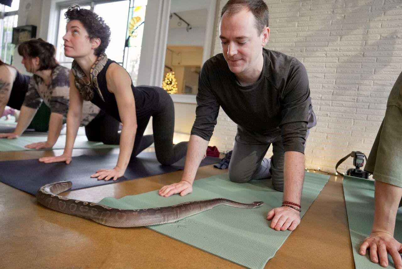 Snake yoga is officially a thing in Portland, and it’s selling out fast